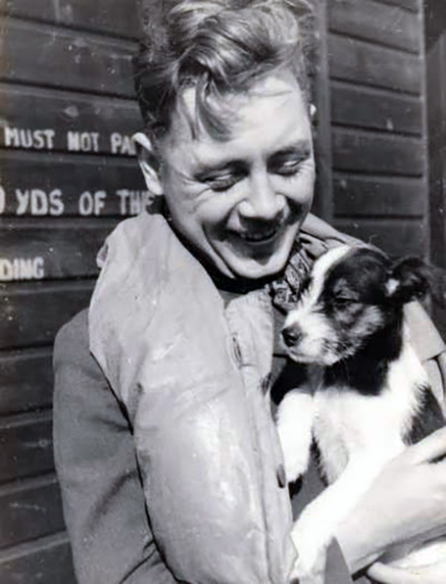 Great Aviation Quotes | Combat